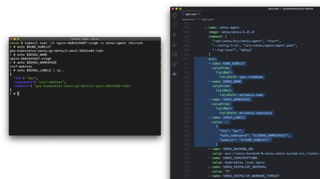 The Top Kubernetes Apis For Cloud Native Observability Part 2 The Kubernetes Pod And Downward