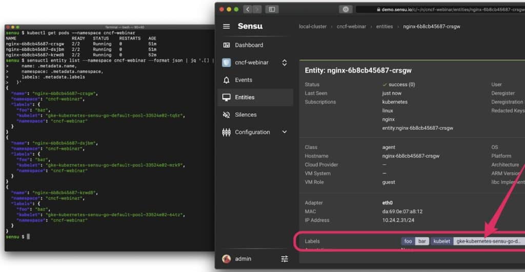 The Top Kubernetes Apis For Cloud Native Observability Part 2 The Kubernetes Pod And Downward