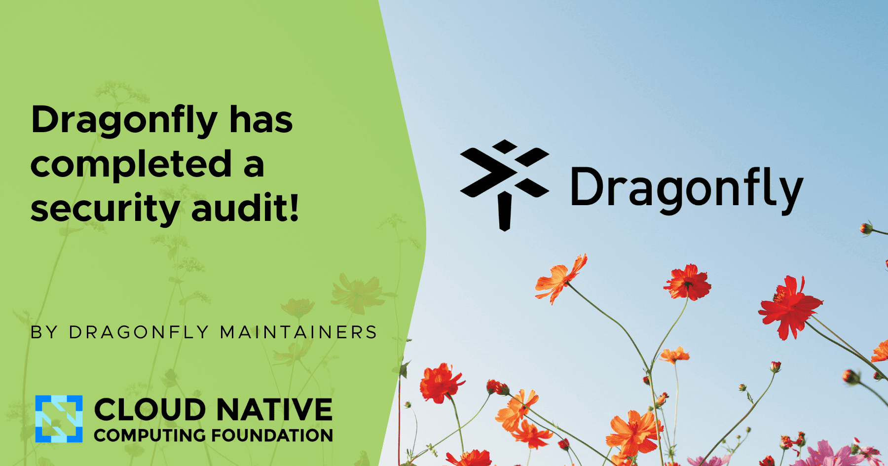 Dragonfly | Cloud Native Computing Foundation
