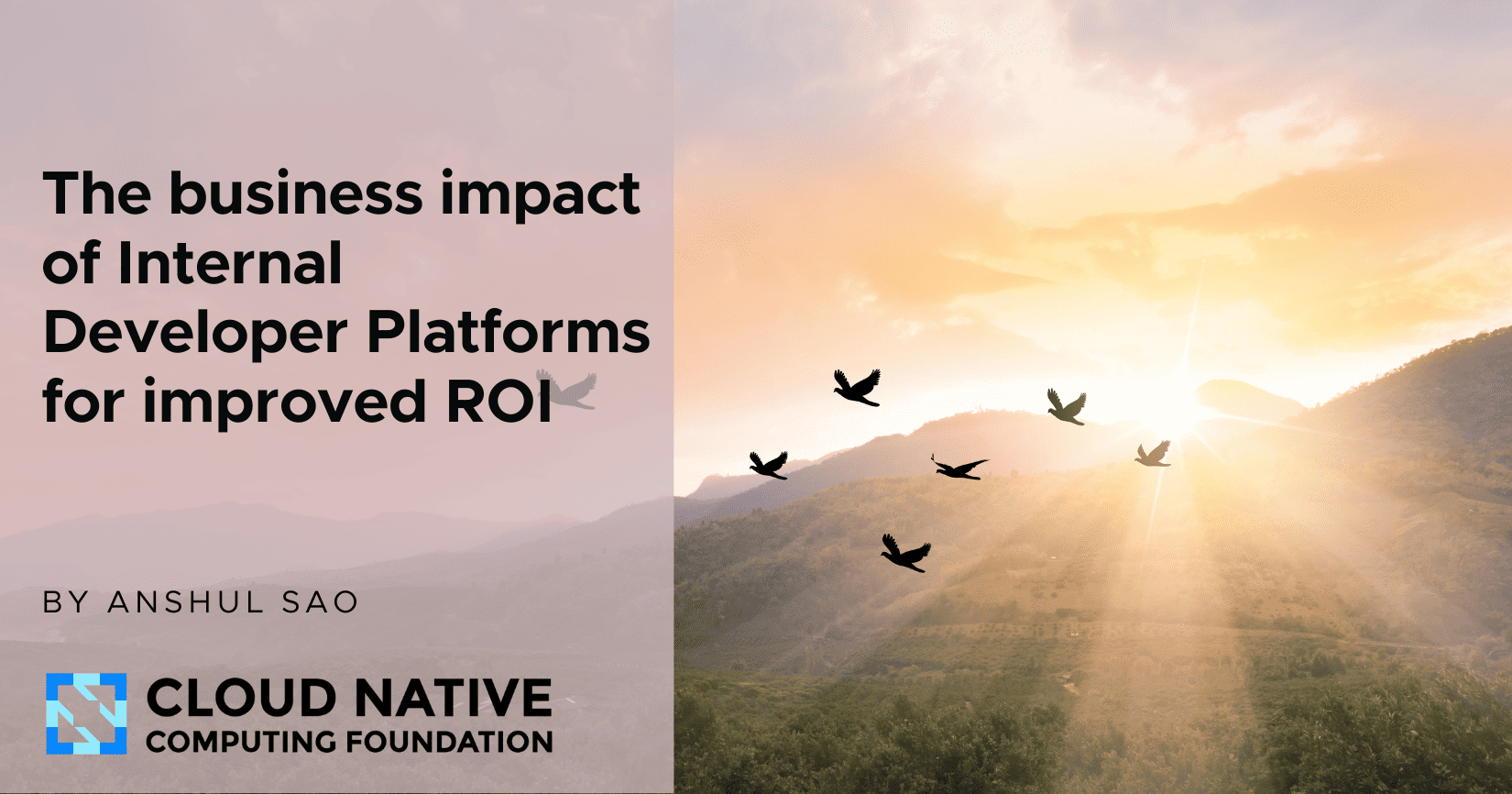 The business impact of Internal Developer Platforms for improved ROI | CNCF