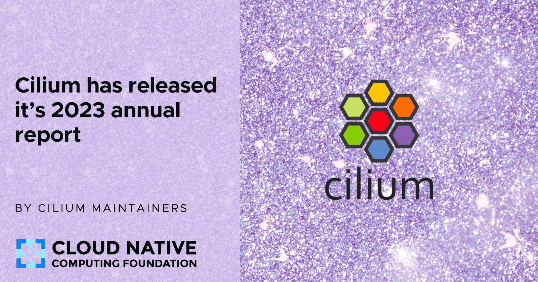 Ciliums 2023 Annual Report Cncf