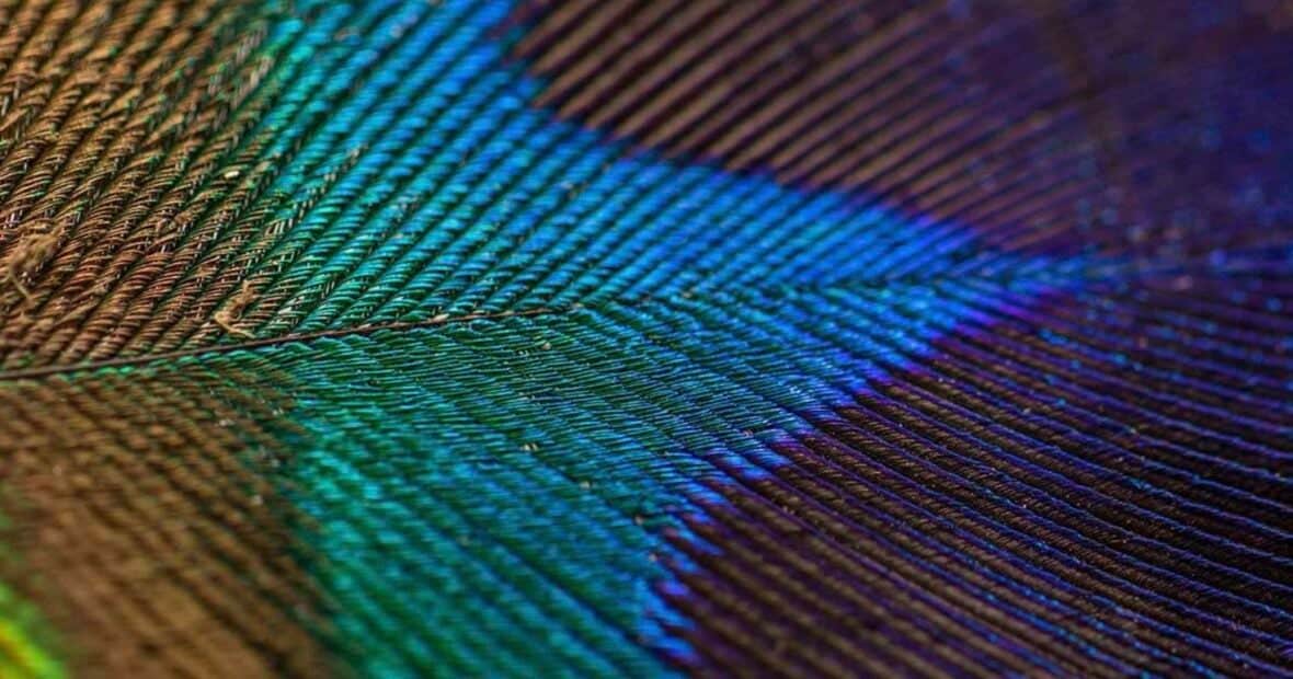 Fluent Bit v4.0: Celebrating new features and 10th anniversary | CNCF