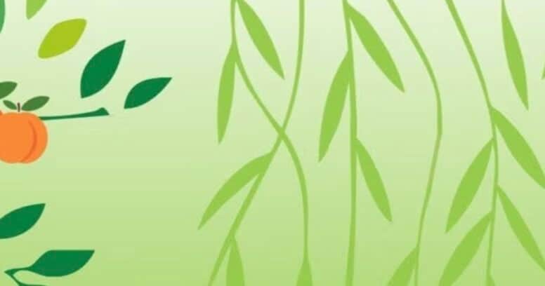 Managing multi-line logs with Fluent Bit and Python | CNCF