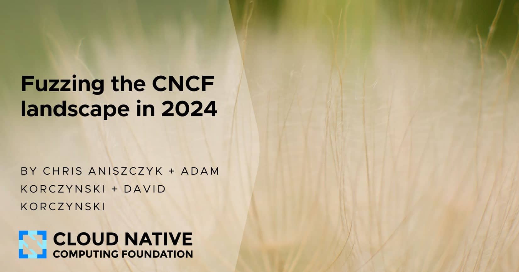 Fuzzing the CNCF landscape in 2024 | CNCF